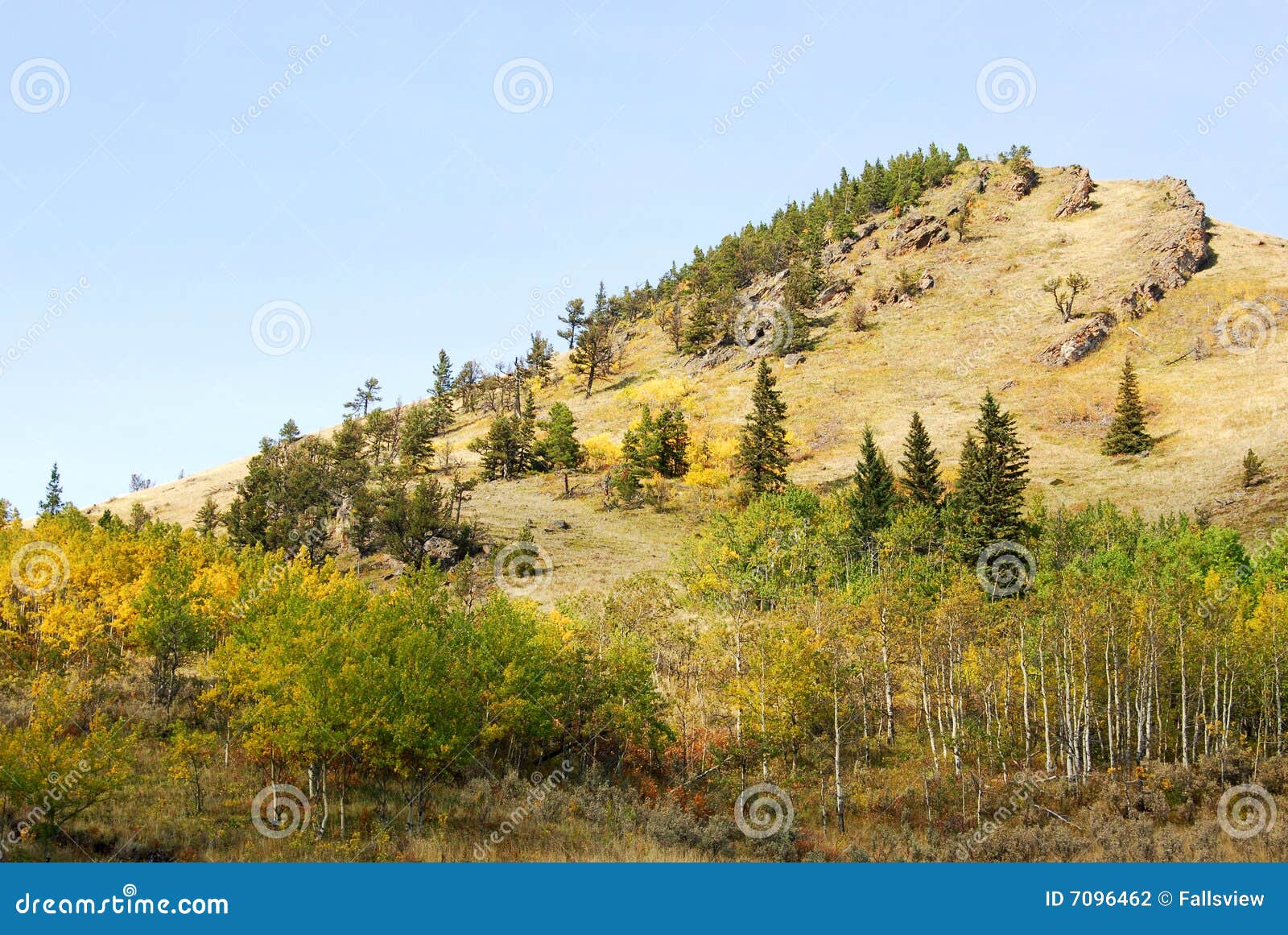 Mountain Slopes with Forests Stock Photo - Image of alberta, canadian ...