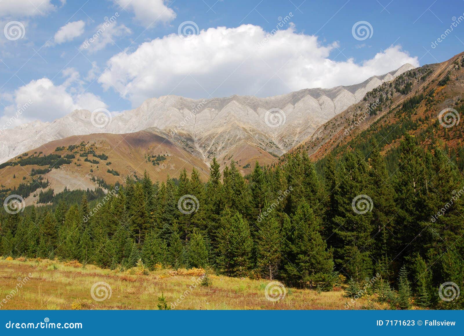Mountain Slopes with Forests Stock Image - Image of aspen, nature: 7171623