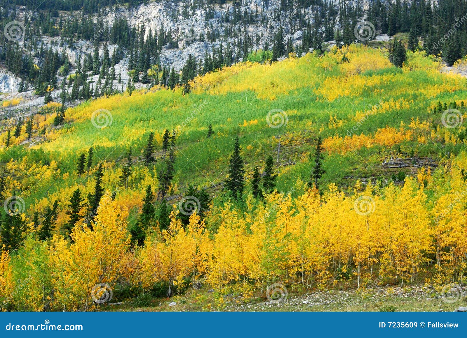 Mountain Slopes with Forests Stock Image - Image of outdoor, color: 7235609