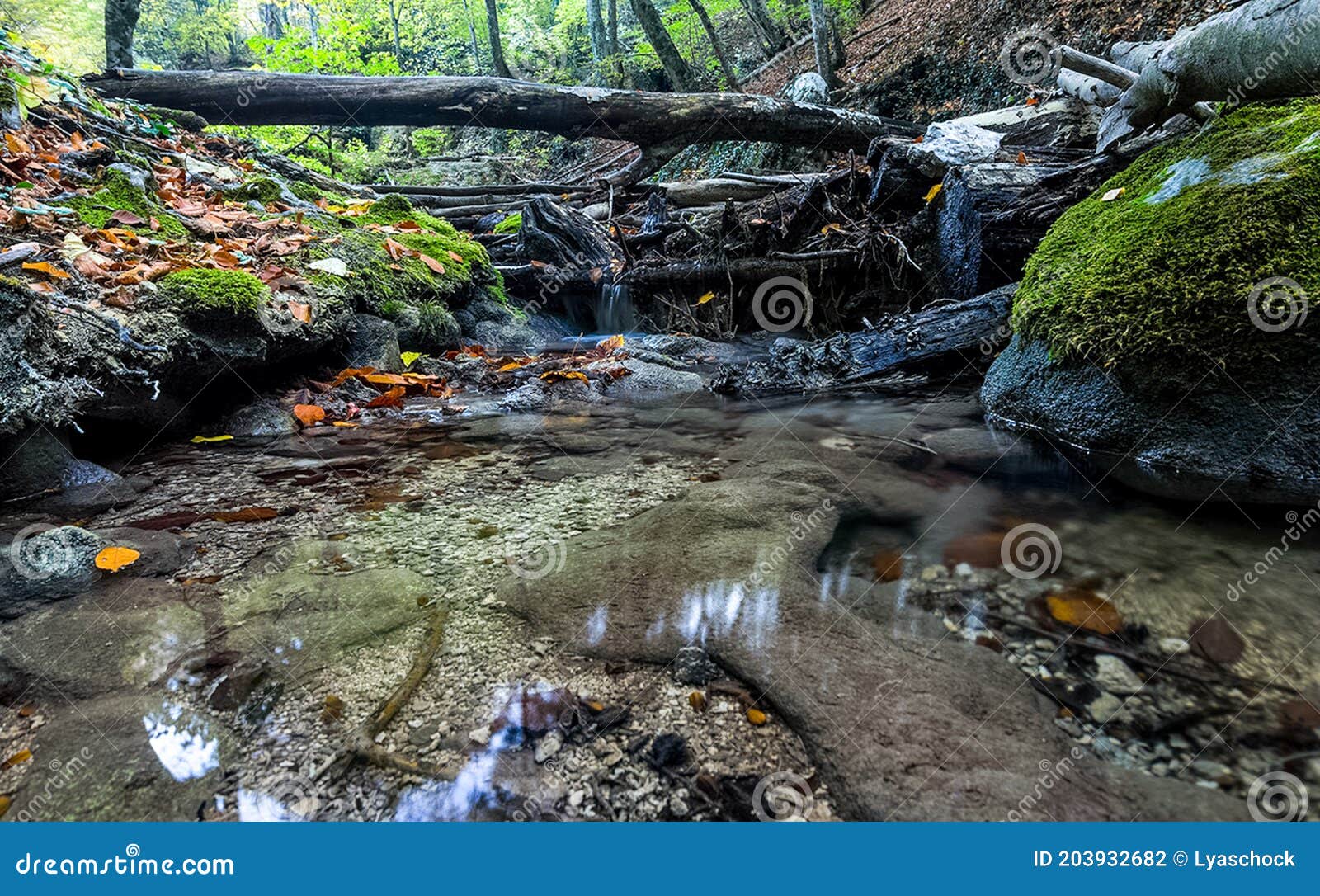 Mountain Small River in Forest with Rapids and Waterfalls. a Forest ...