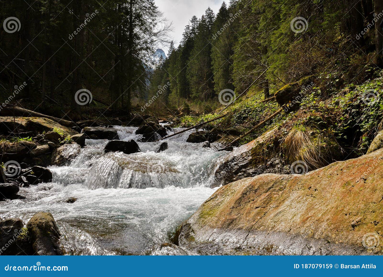 Mountain Small River in Spring Stock Image - Image of park, environment ...