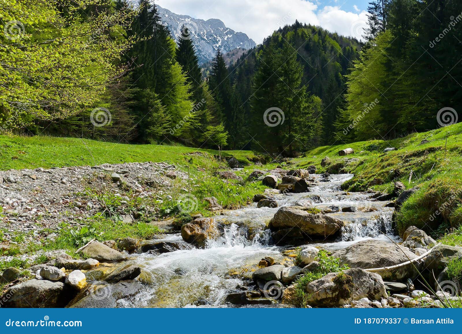 Mountain Small River in Spring Stock Image - Image of park, forest ...