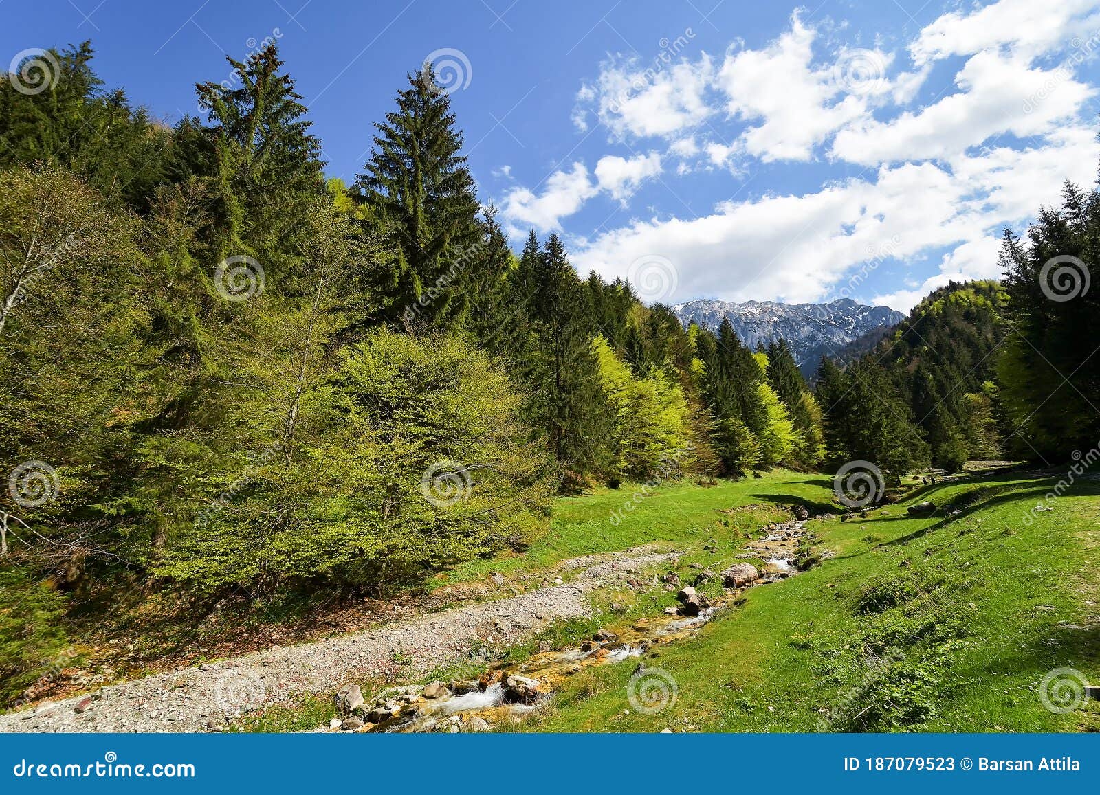 Mountain Small River in Spring Stock Image - Image of aconite, water ...