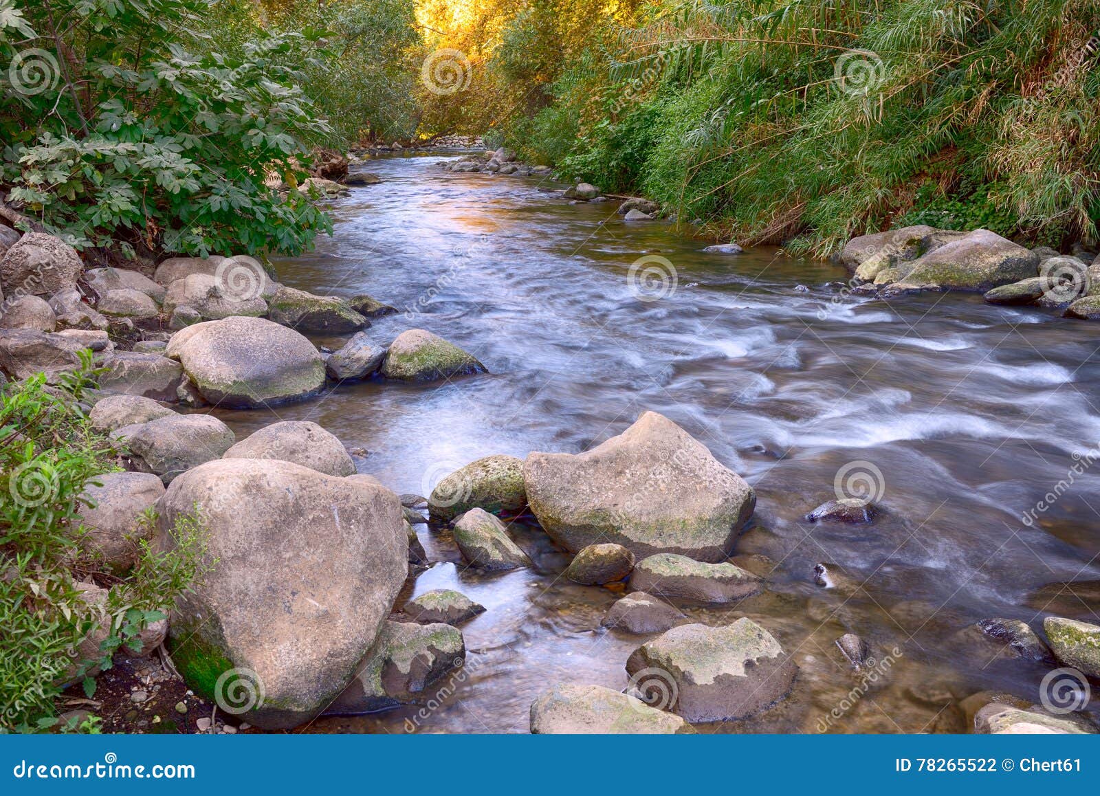 Mountain Snir (Hasbani) River. Stock Photo - Image of reflection ...