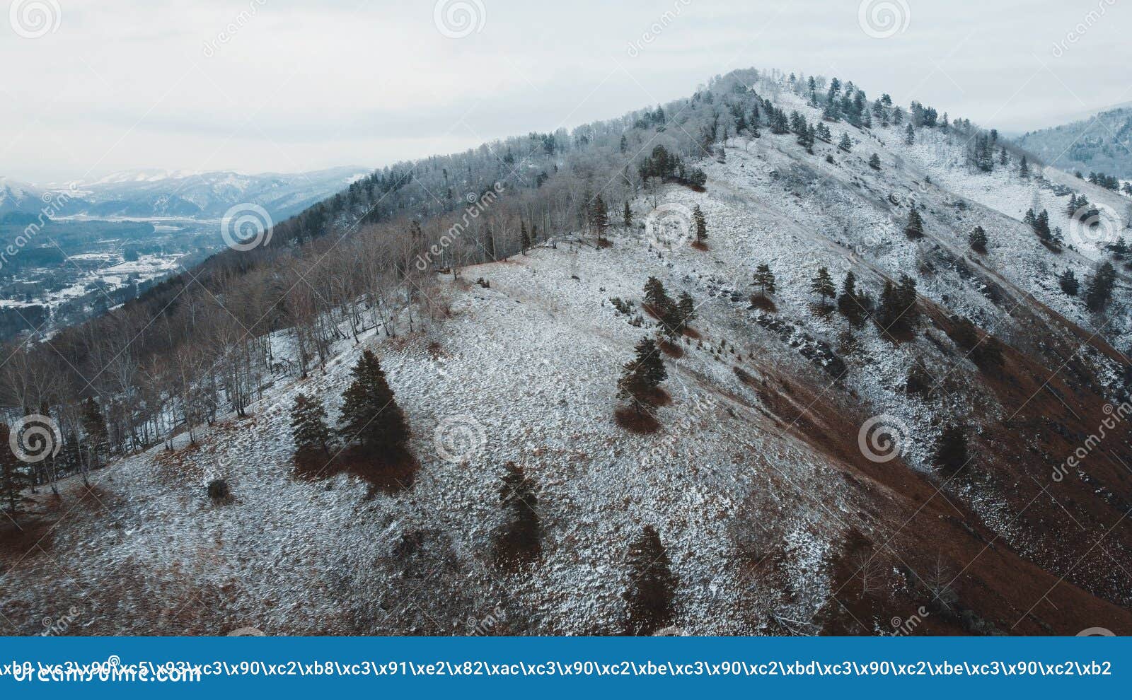 A Mountain in the Snow. the First Snow Stock Photo - Image of summit ...