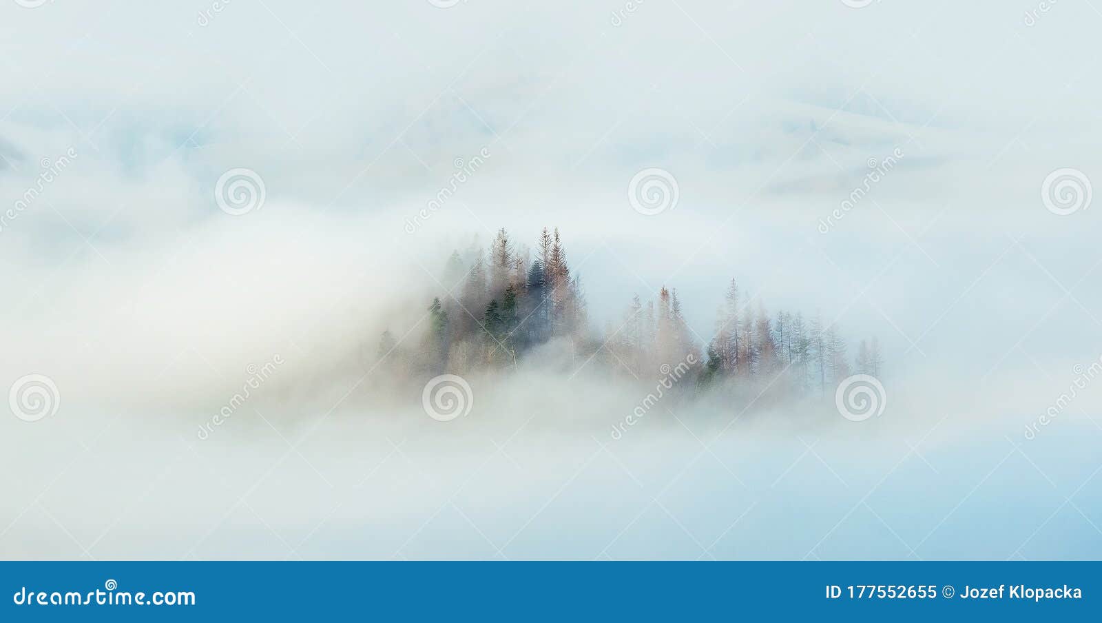 Mountain Snowy Landscape and Snow Covered Trees, Graphic Effect Stock ...