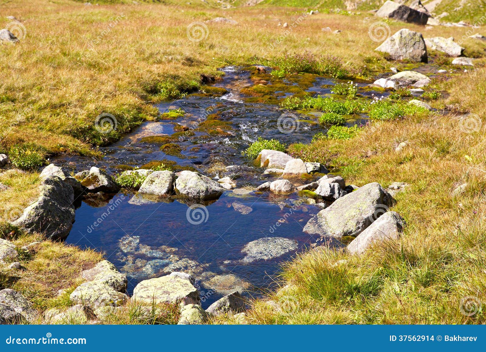 Mountain source stock photo. Image of source, blue, creek - 37562914