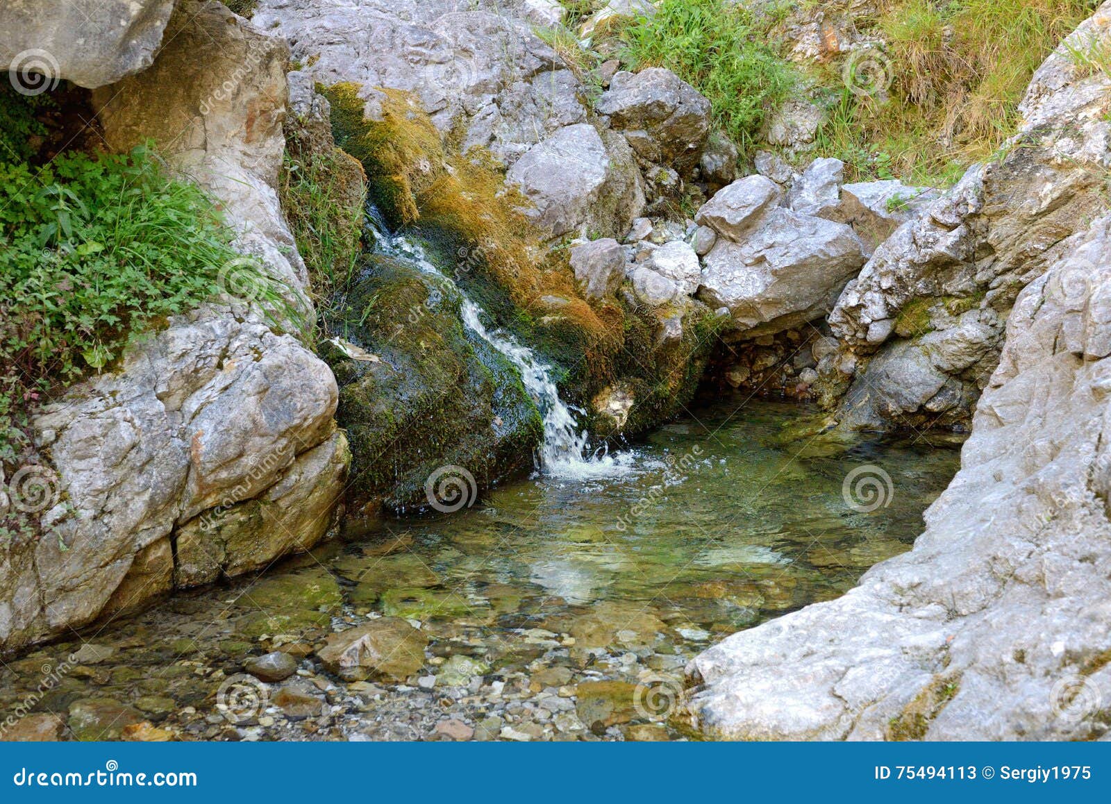 Mountain Source of Fresh Water Stock Image - Image of moss, autumn ...