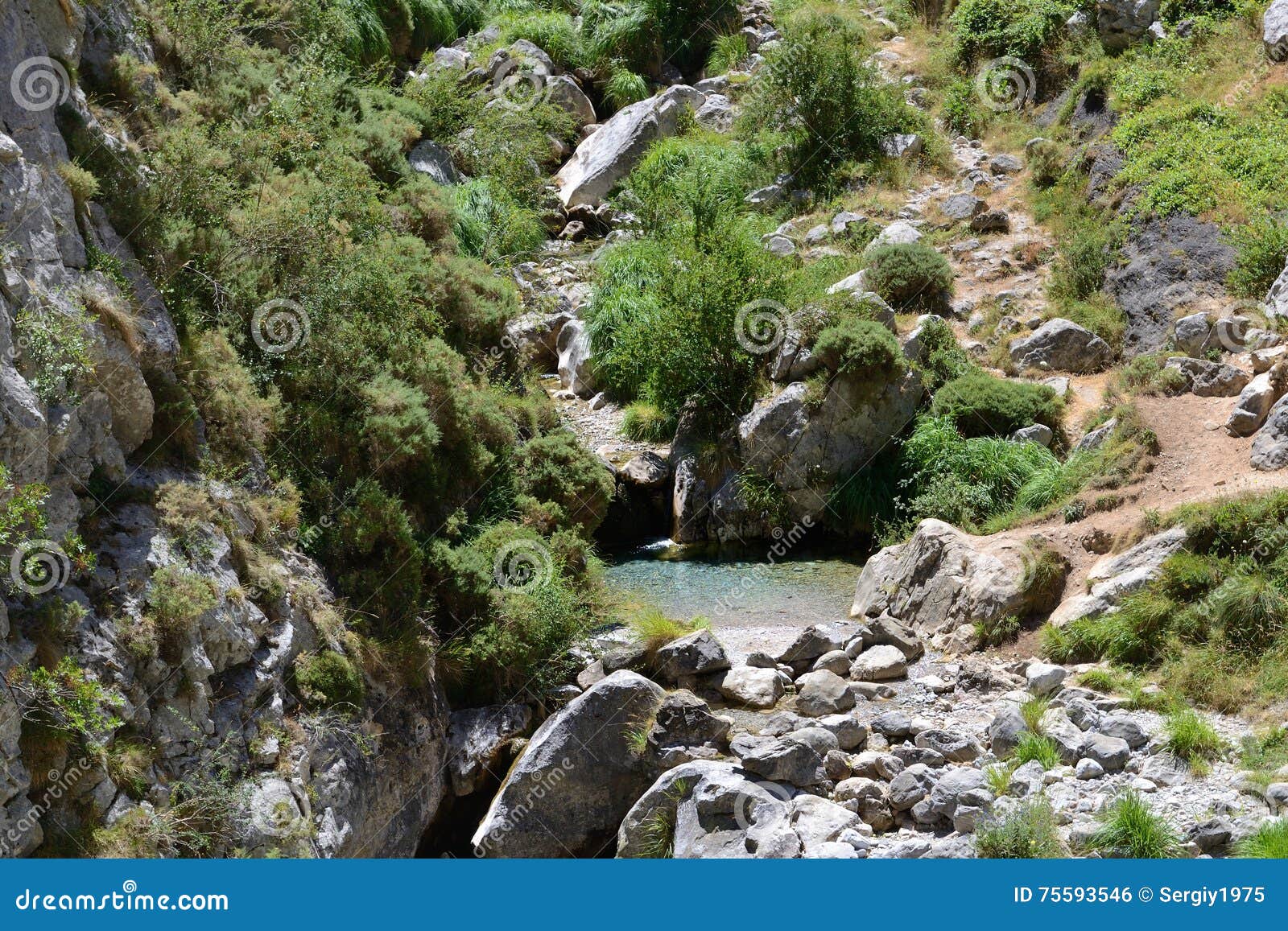 Mountain Source of Fresh Water Stock Photo - Image of fountain ...