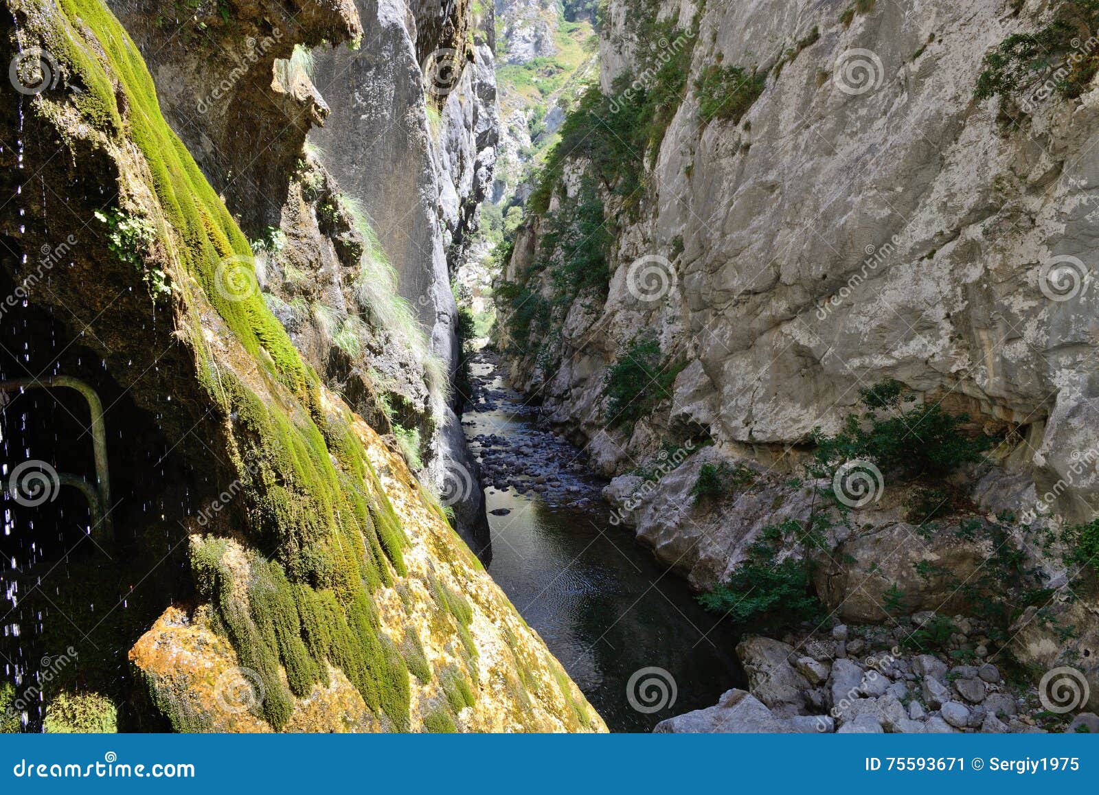Mountain Source of Fresh Water Stock Image - Image of cool, fountain ...