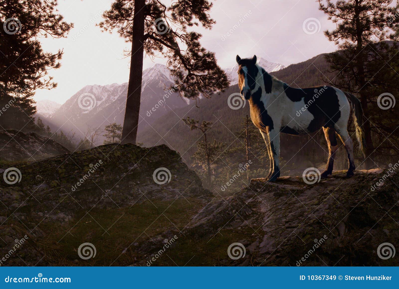 Mountain Splendor stock image. Image of proud, animal - 10367349