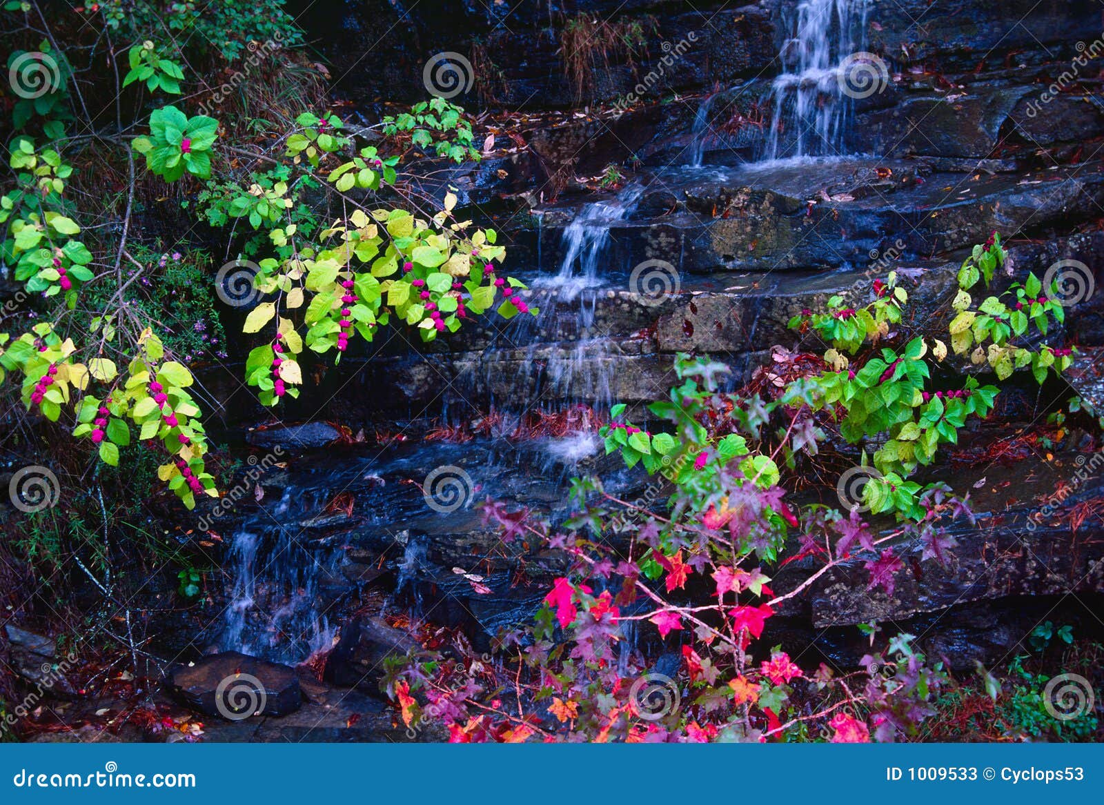 Mountain Spring stock image. Image of life, flow, waterfall - 1009533