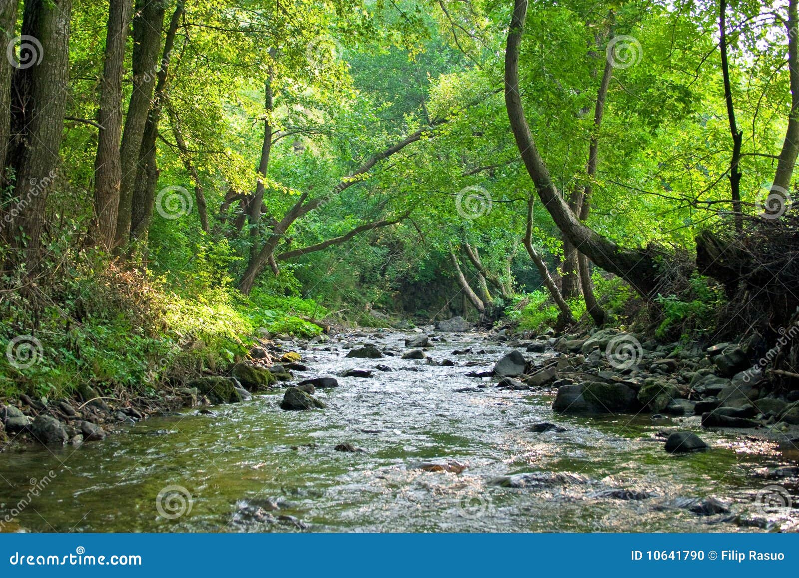 Mountain spring stock photo. Image of country, flowing - 10641790