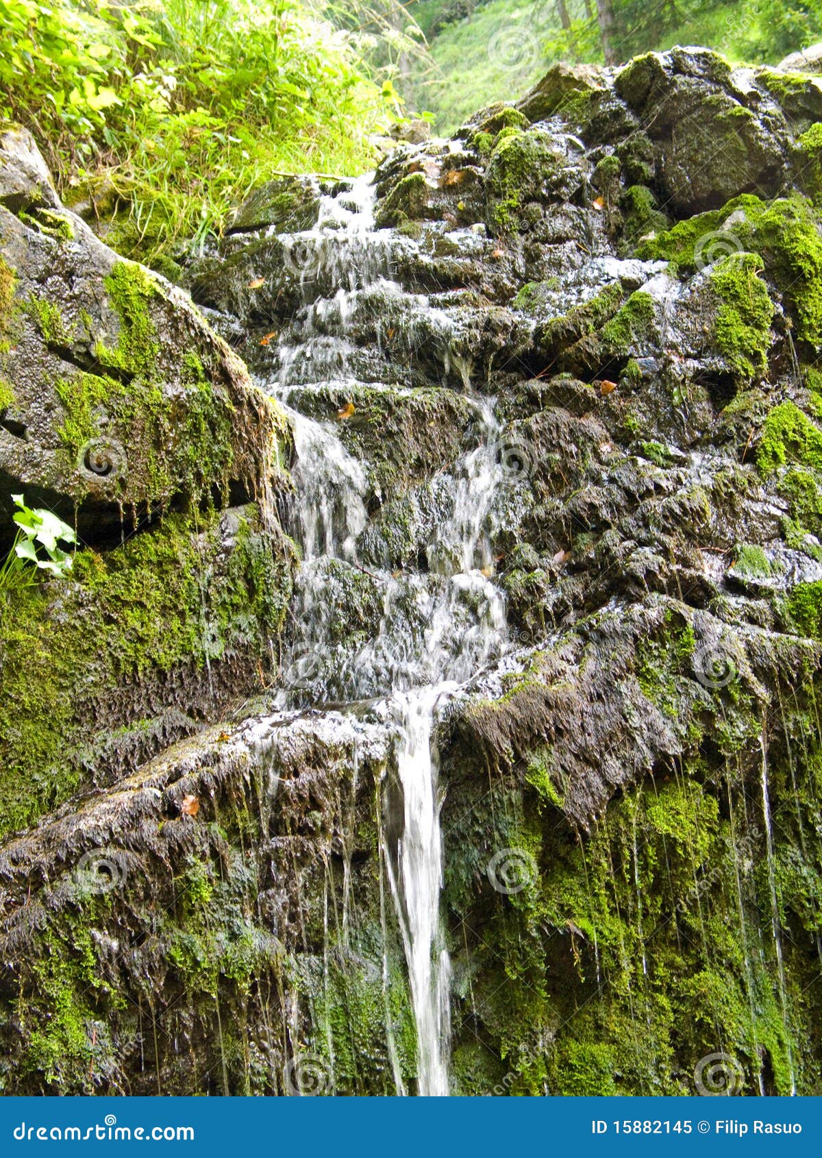 Mountain spring stock image. Image of river, environment - 15882145