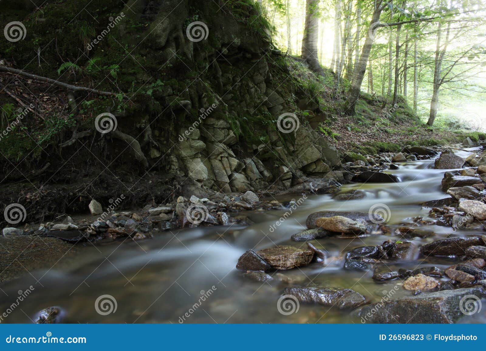 Mountain spring stock image. Image of rock, long, wild - 26596823