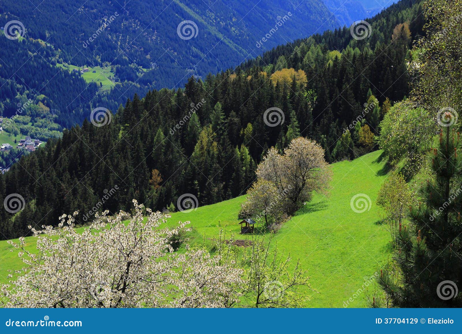Mountain spring stock image. Image of meadows, nature - 37704129