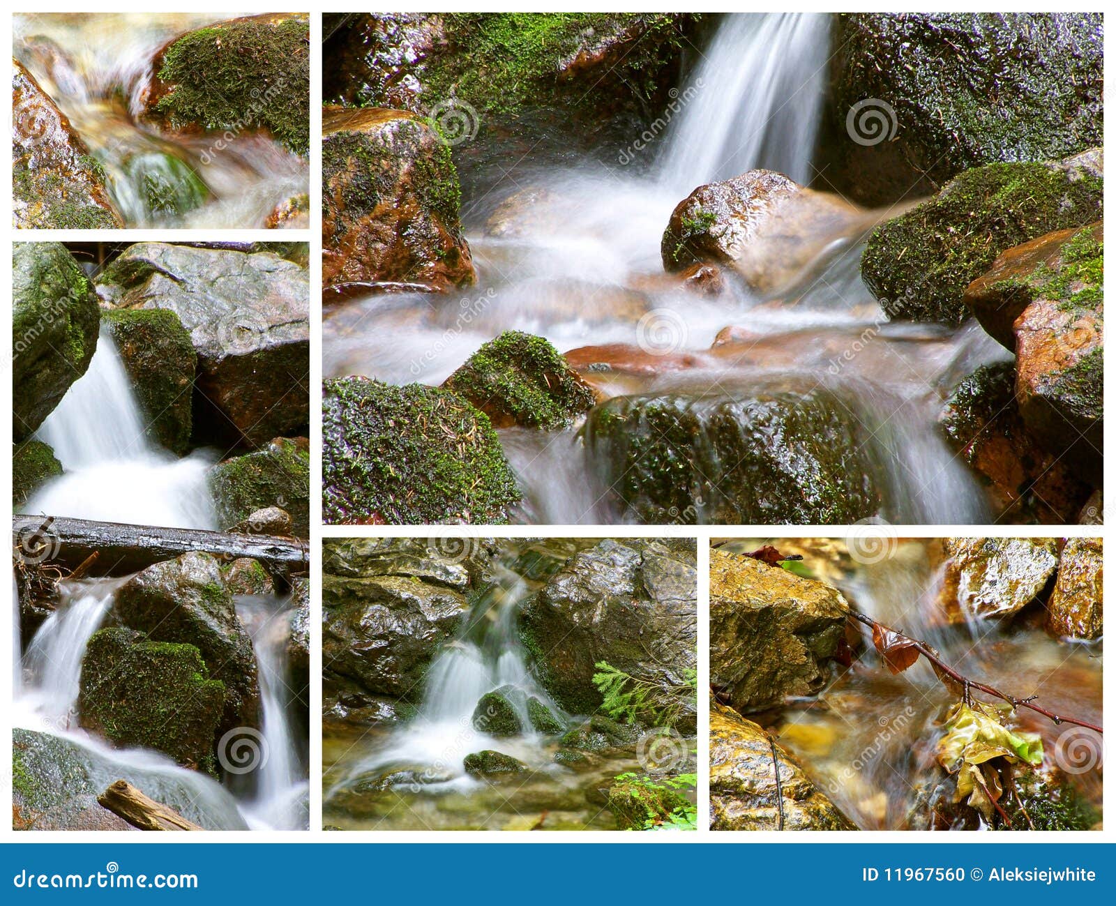 Spring Collage With First Green Leaves, Grass And White Flowers Of ...