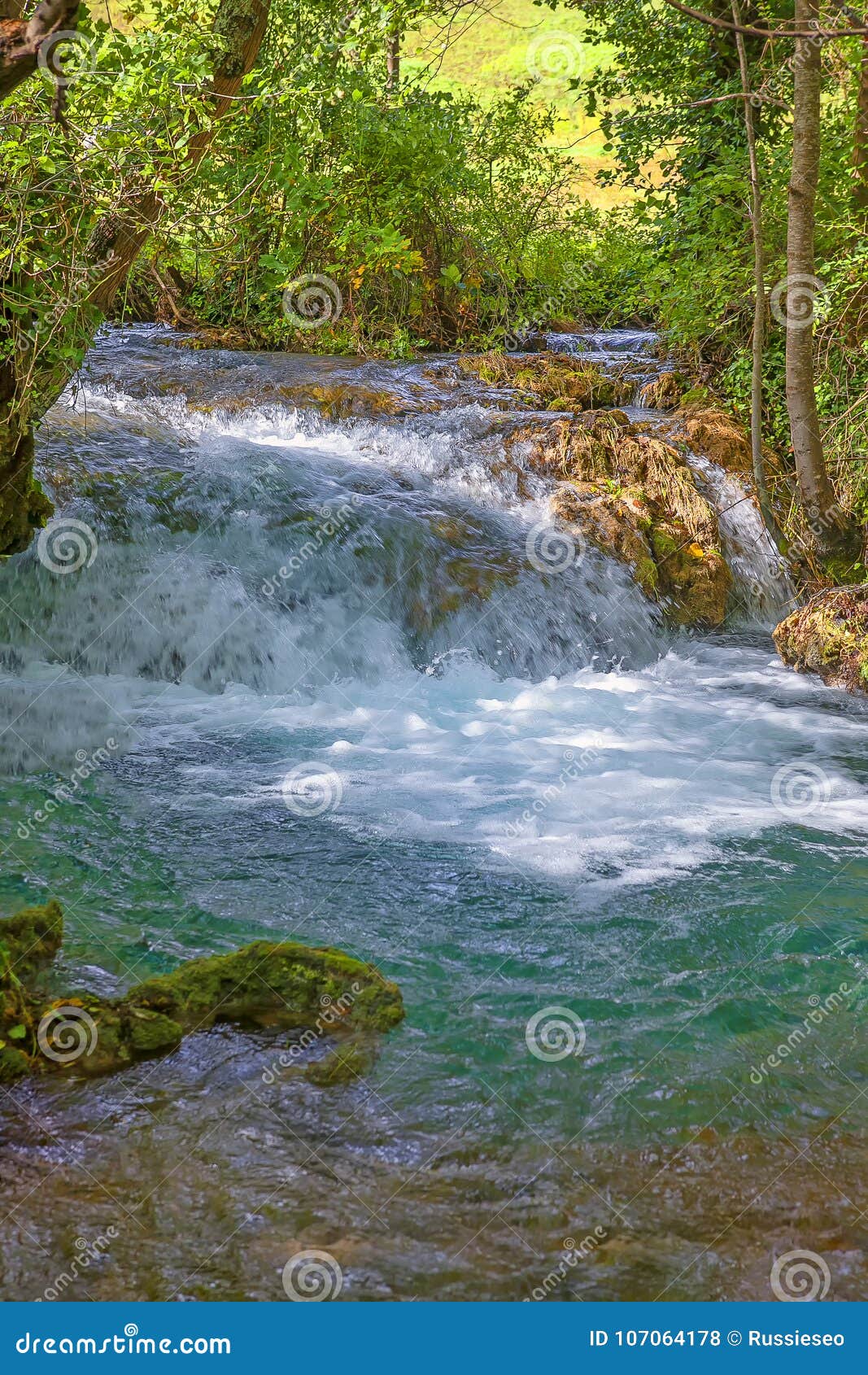 Mountain Spring with Fresh Water Stock Photo - Image of stream, thirsty ...