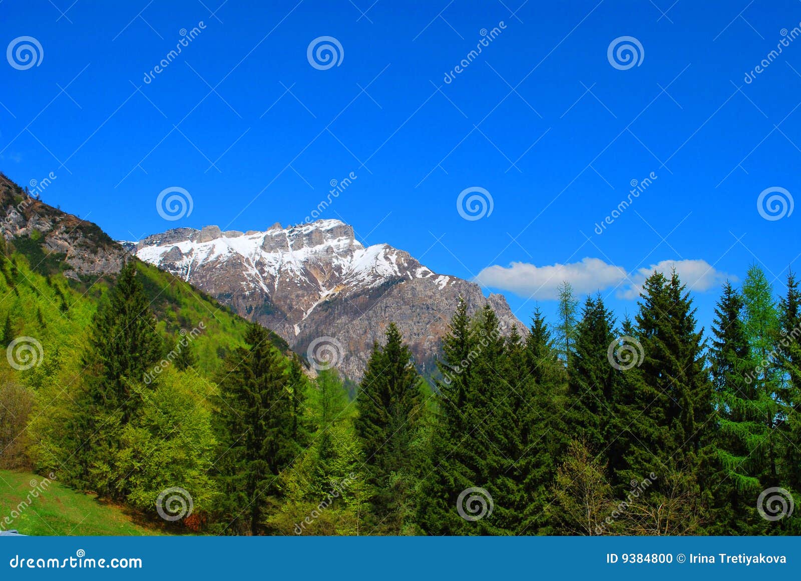 Mountain spring landscape. stock photo. Image of snow - 9384800