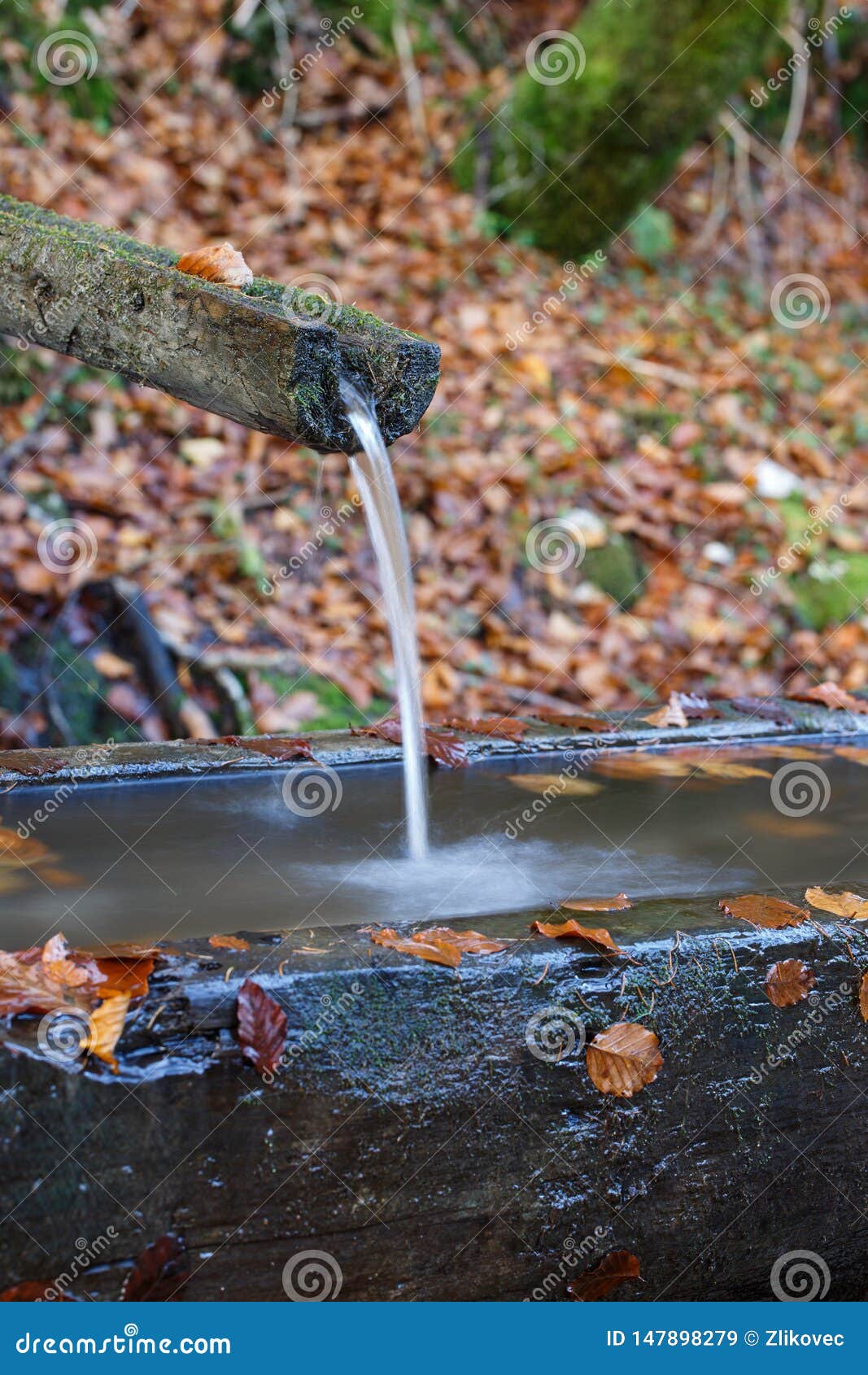 Mountain Spring of Pure, Clear, Fresh Water with Water Trough in the ...