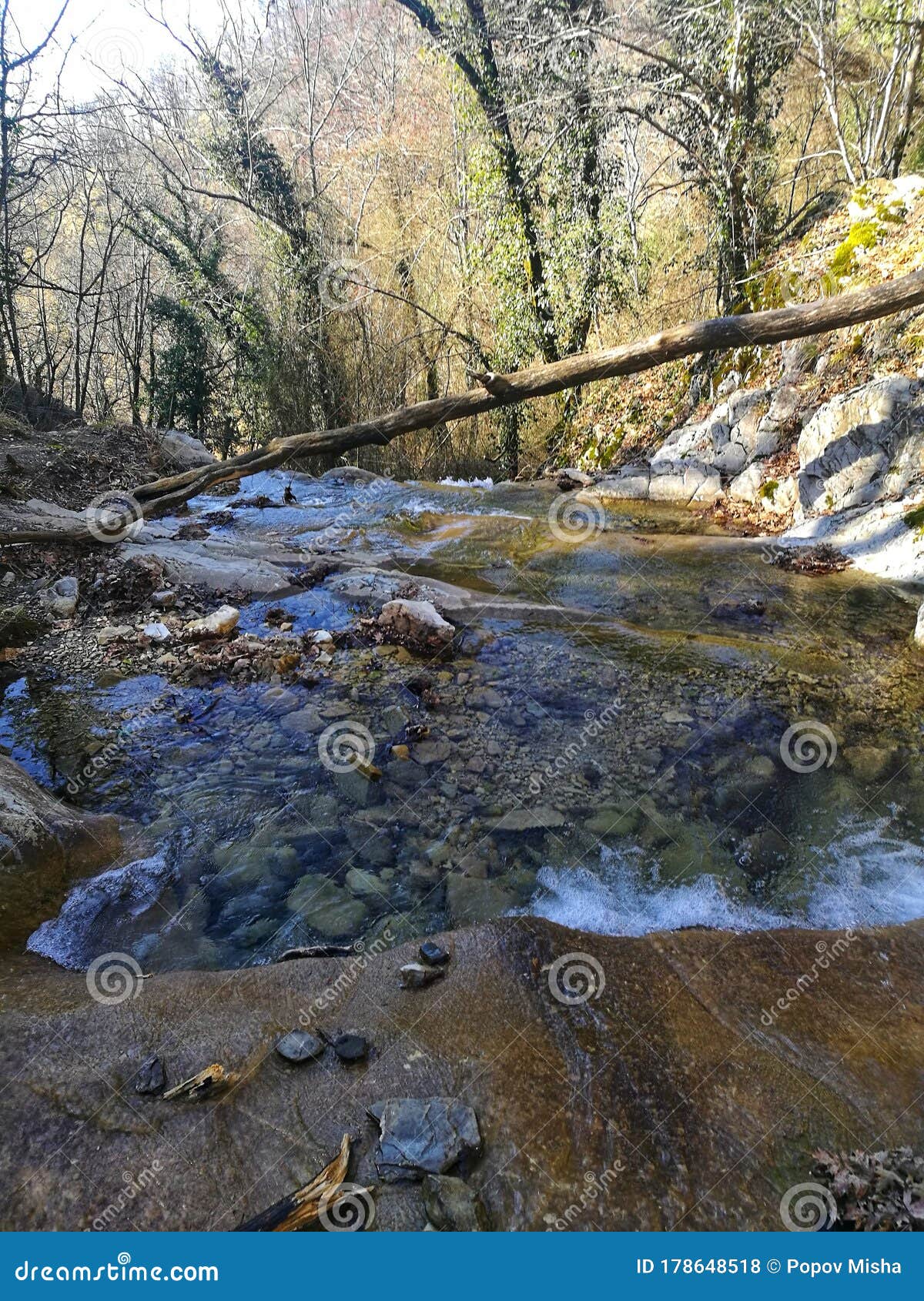 The mountain spring river stock photo. Image of river - 178648518