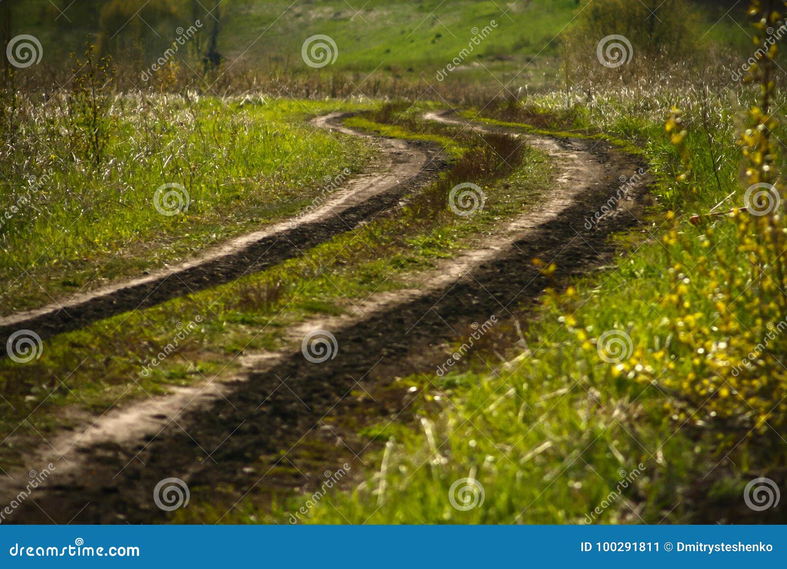 Mountain spring road stock image. Image of cloud, field - 100291811
