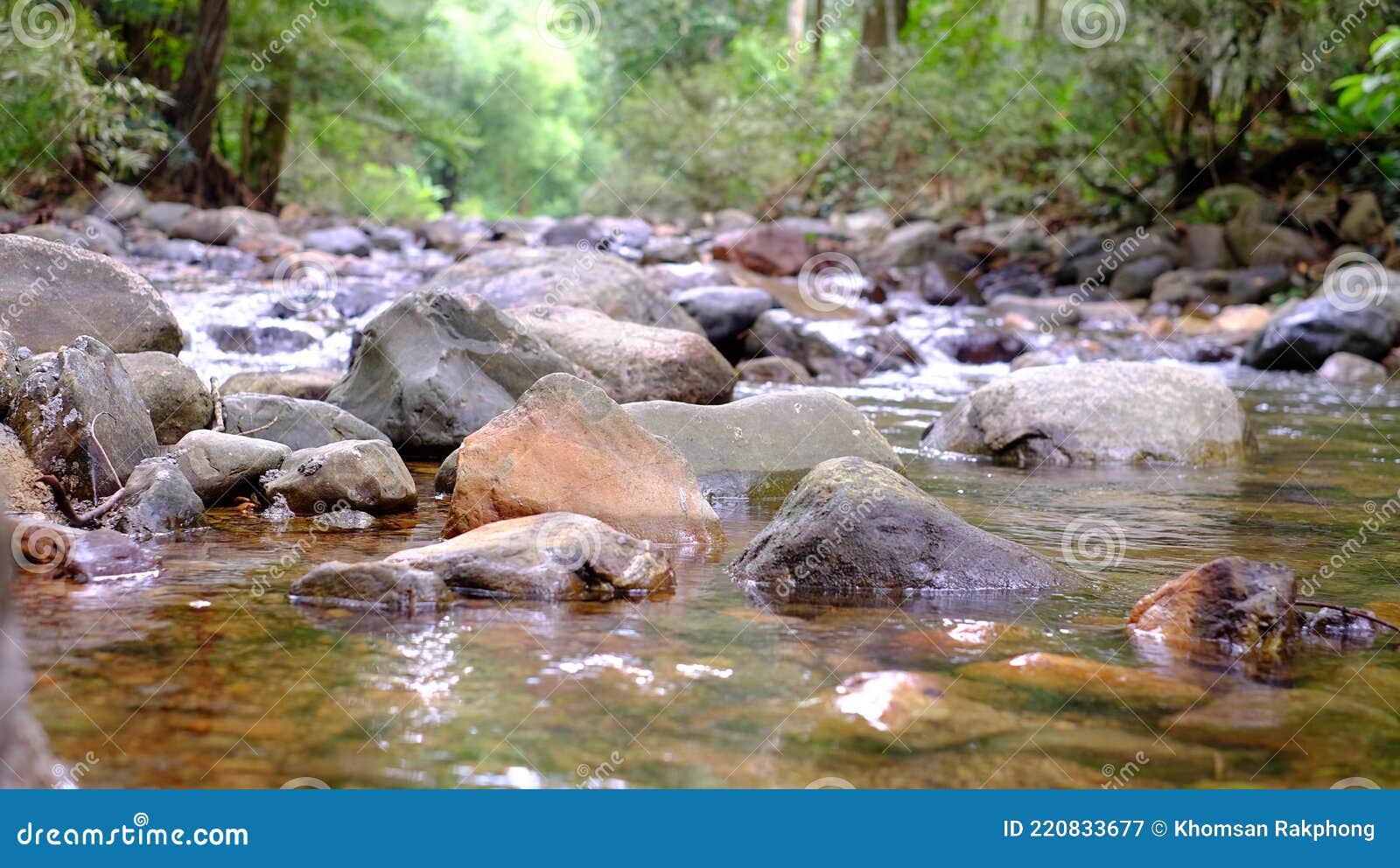 The Mountain Spring Water is Flowing Softly Stock Image - Image of ...