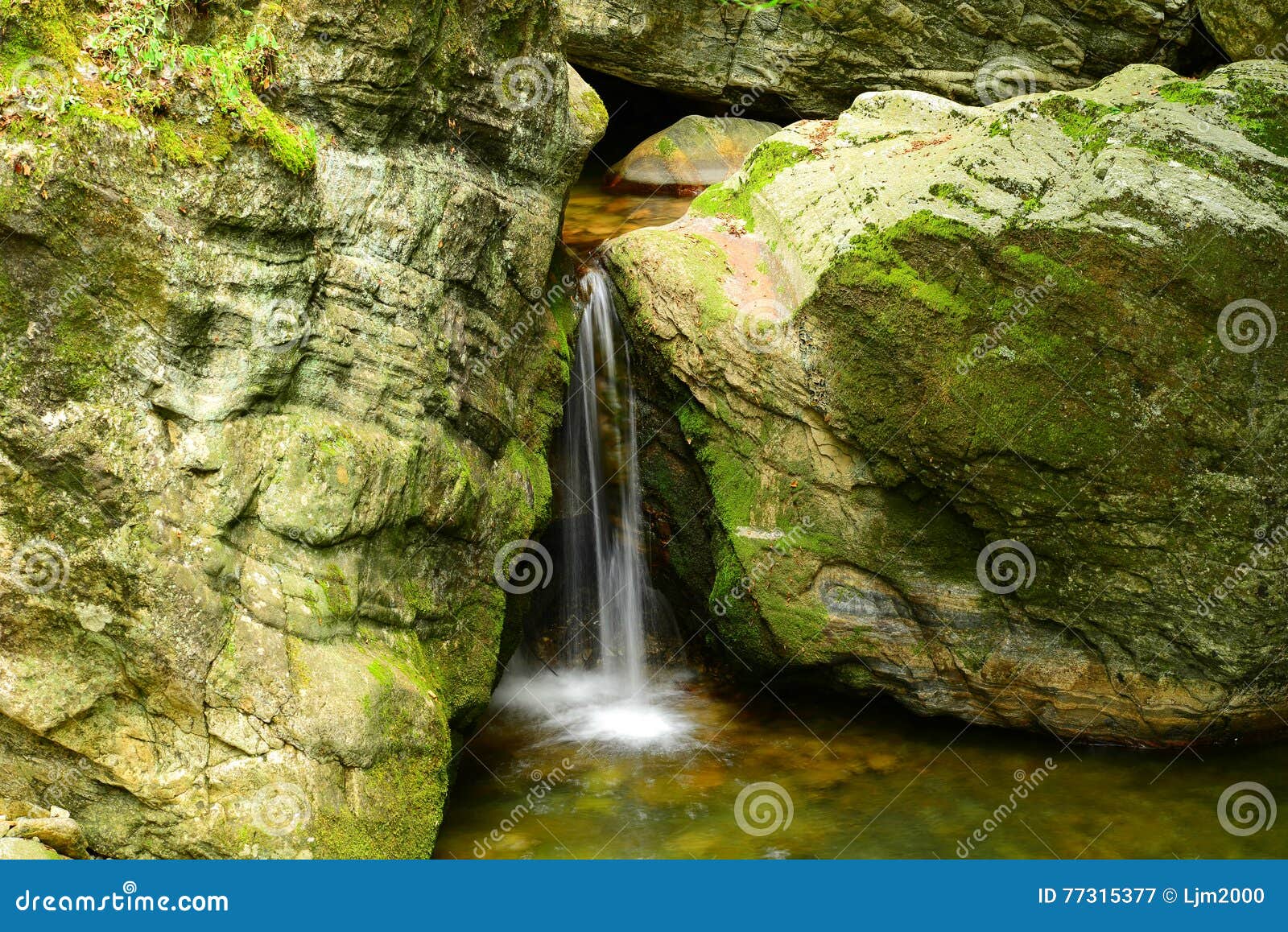 Mountain spring water stock image. Image of milling, mountain - 77315377