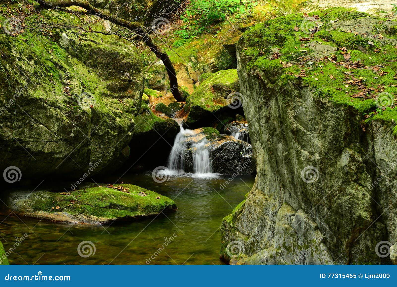 Mountain spring water stock image. Image of hydro, national - 77315465