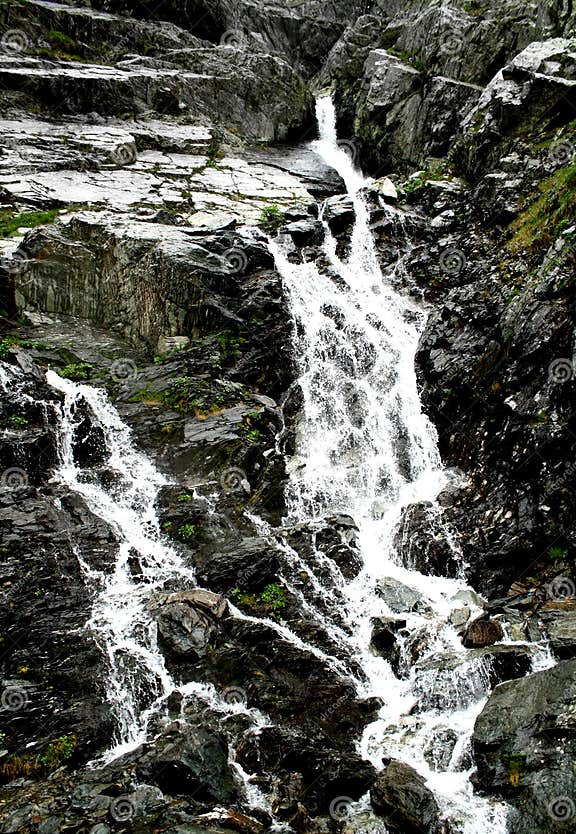 Mountain spring stock photo. Image of beauty, freshwater - 49275064