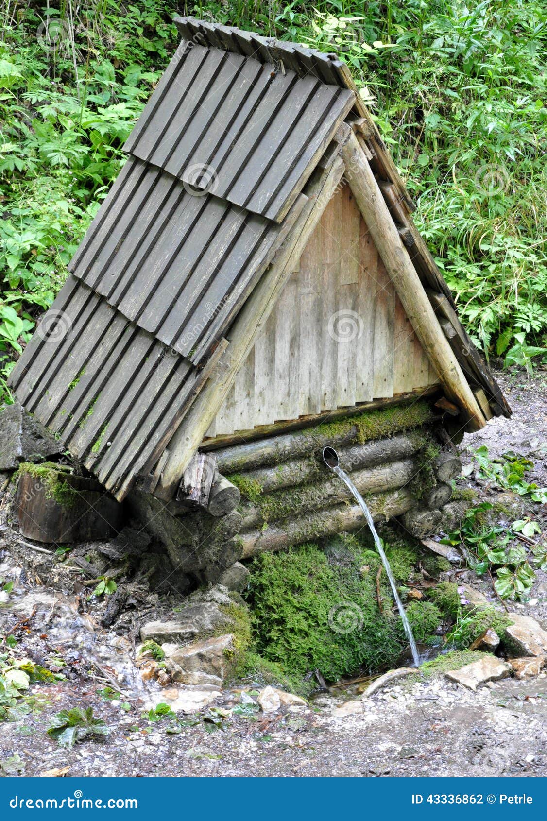 Mountain spring water stock photo. Image of grass, drinking - 43336862