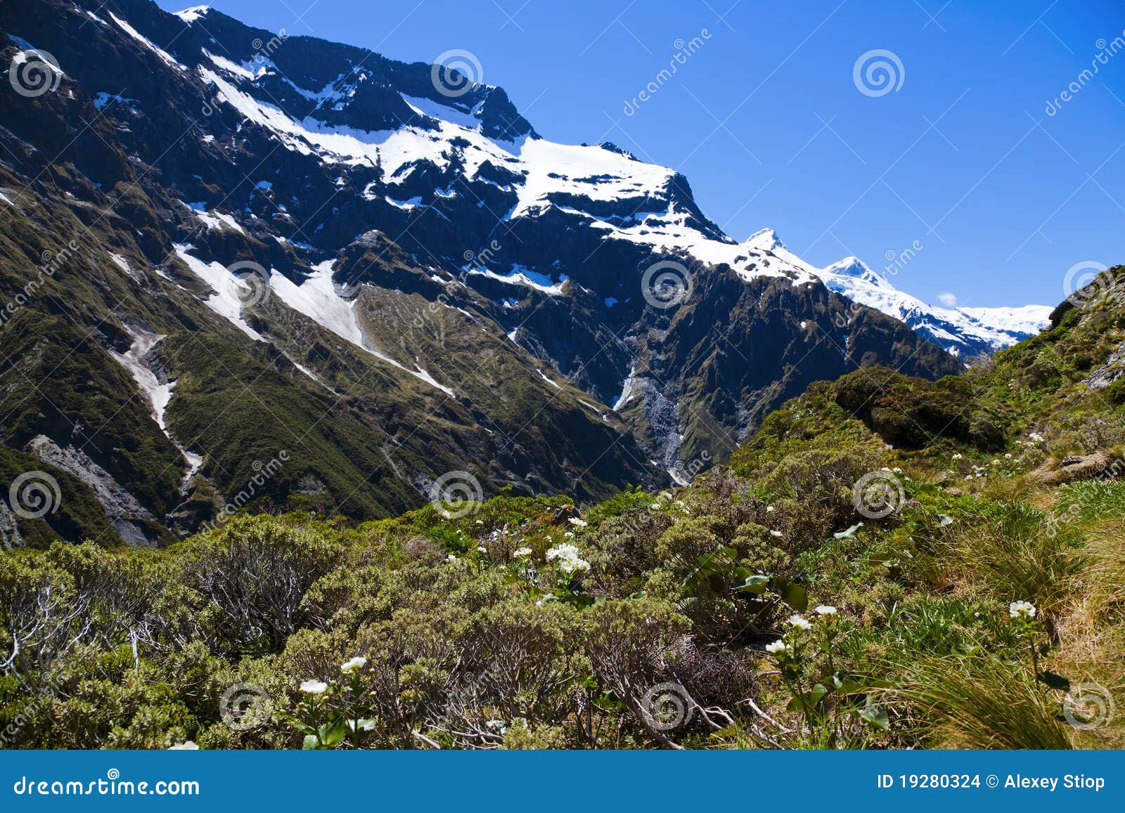 Mountain Springtime stock photo. Image of green, nature - 19280324
