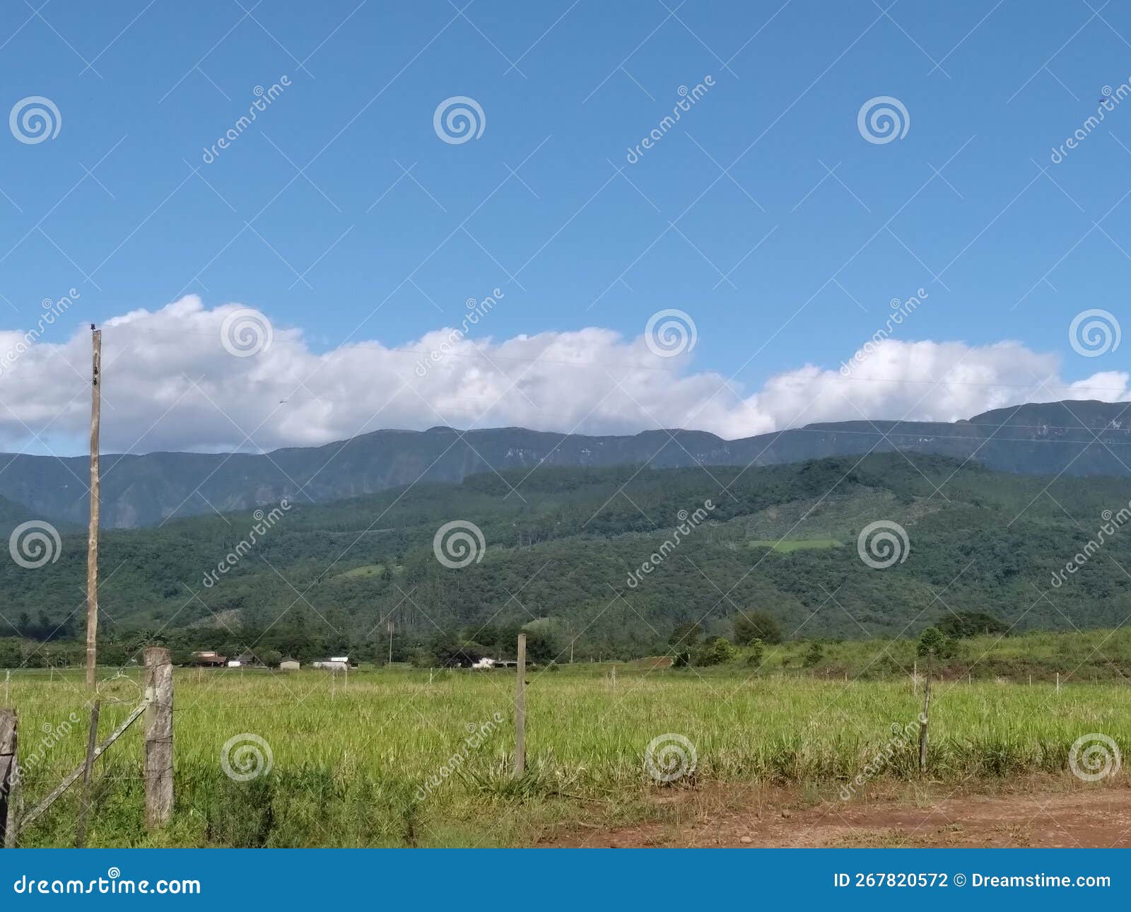 Mountain steppe high stock photo. Image of plain, highland - 267820572