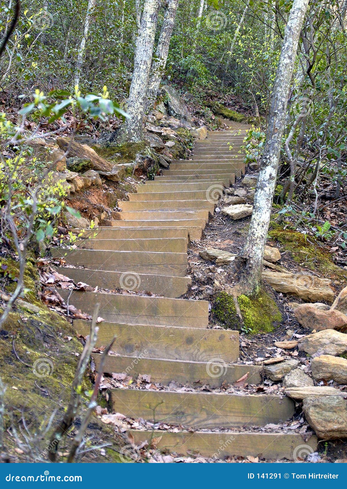 Mountain Steps stock image. Image of carolina, green, path - 141291