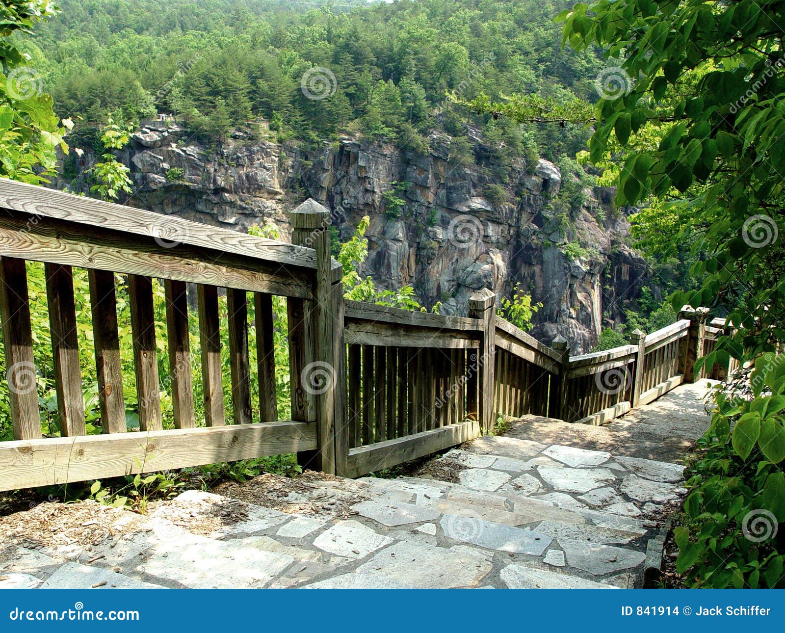 Mountain Steps 2 stock photo. Image of green, trees, hiking - 841914