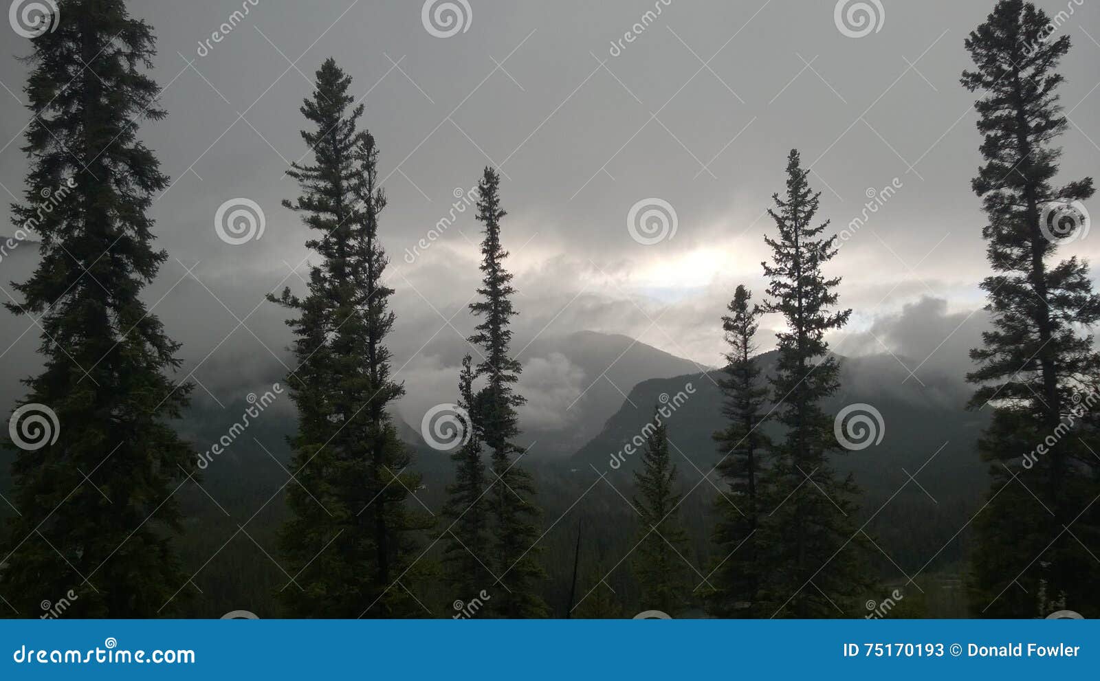Mountain storm stock image. Image of male, feather, grass - 75170193