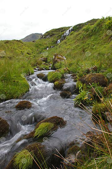 Mountain stream stock image. Image of meadow, rocky, outdoors - 1004551