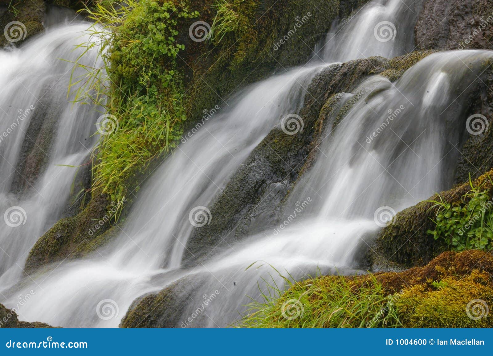 Mountain stream stock photo. Image of mountain, isle, great - 1004600