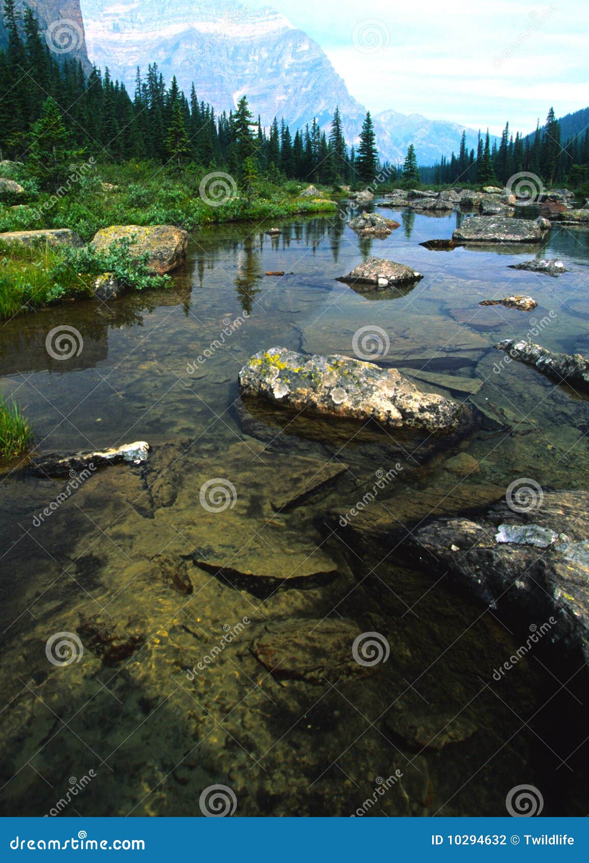 Mountain Stream stock photo. Image of mountain, creek - 10294632