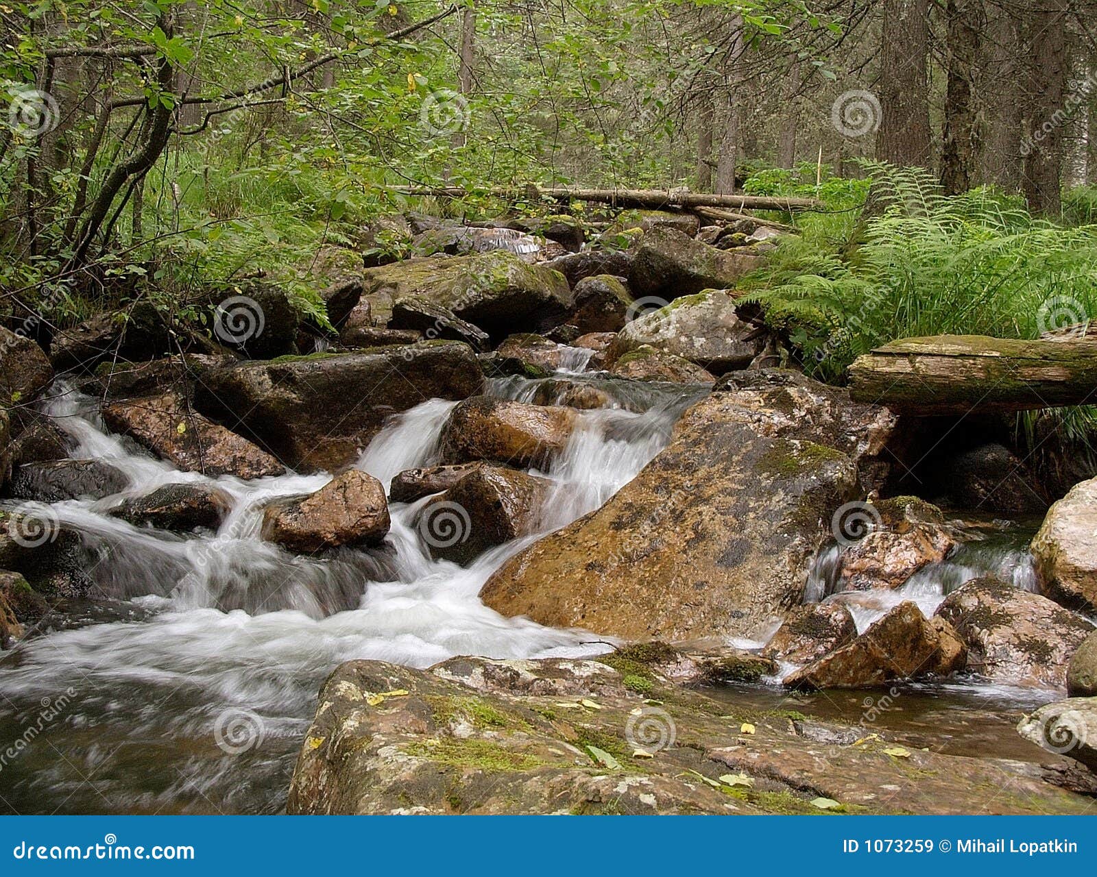 Mountain stream stock image. Image of pure, water, wind - 1073259