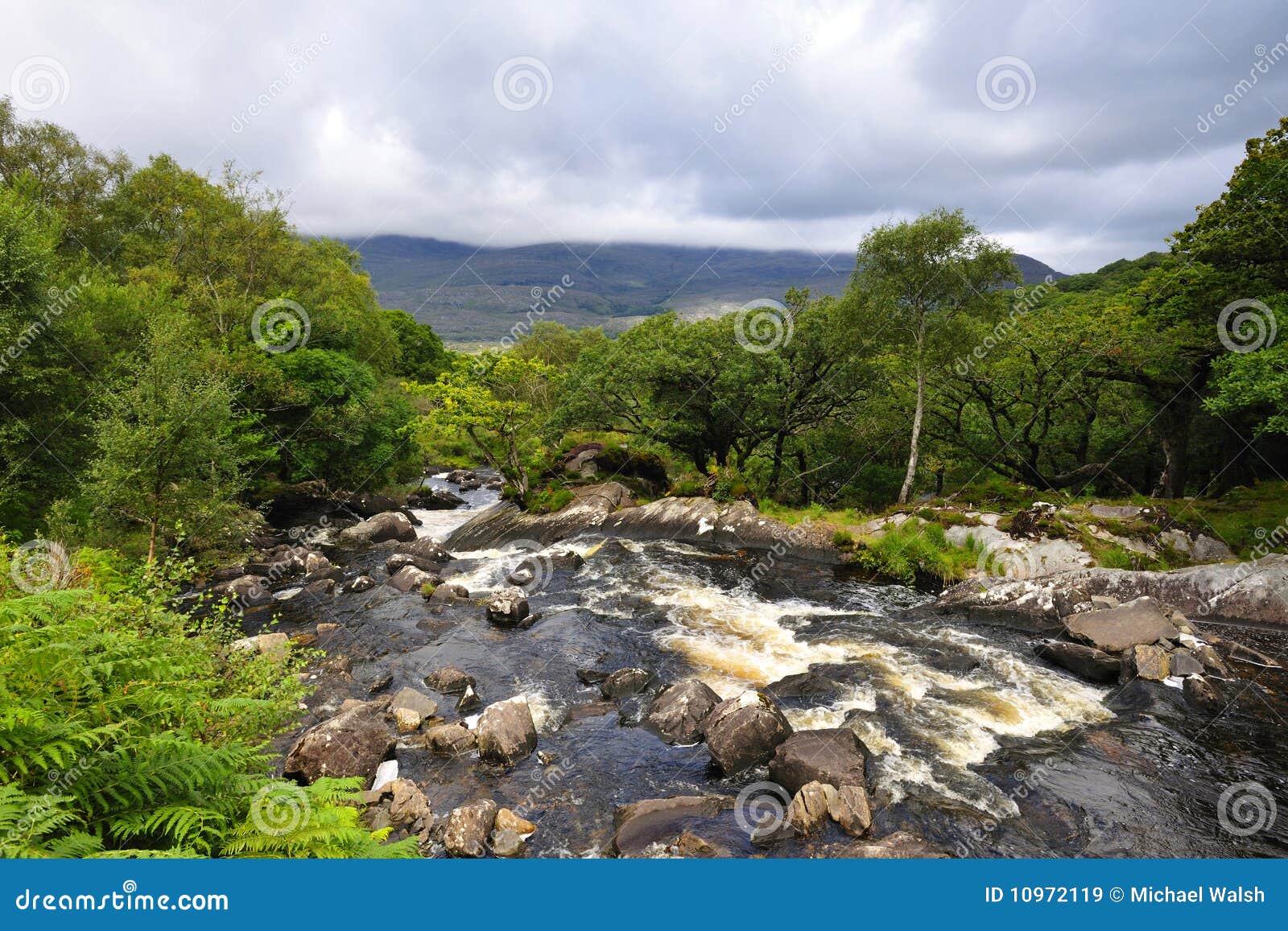 Mountain Stream stock image. Image of ireland, foliage - 10972119