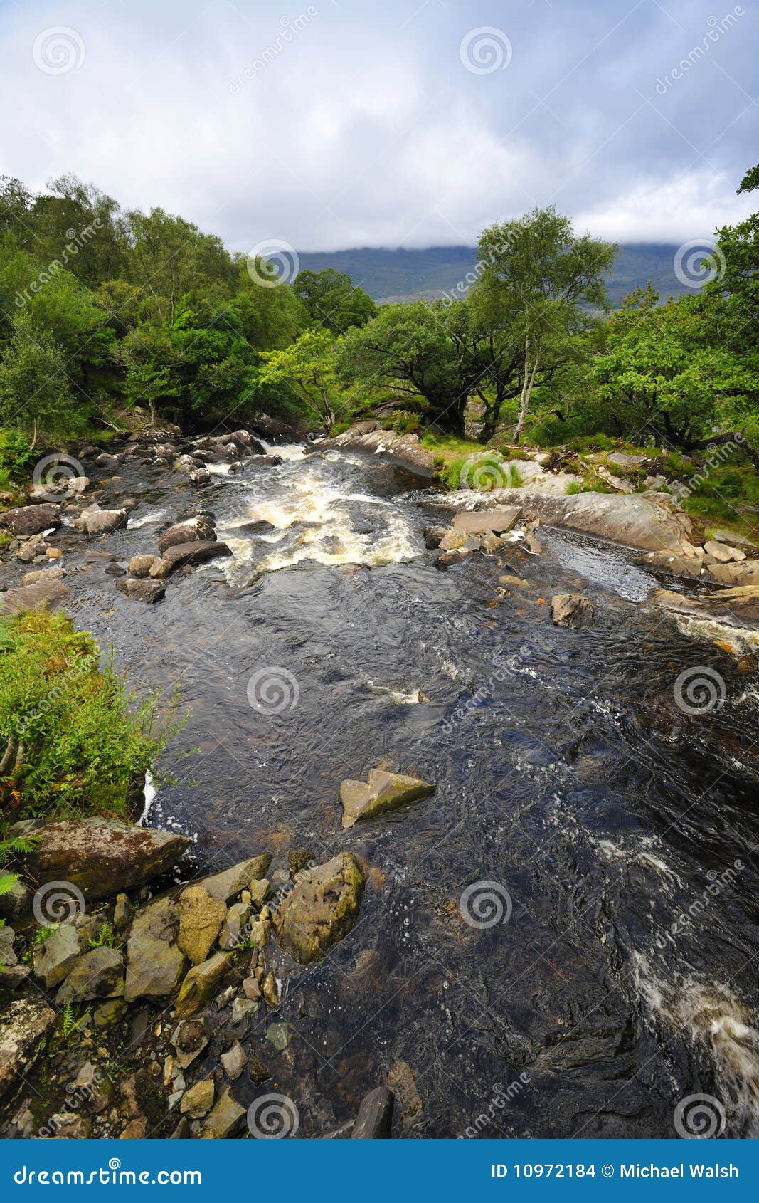Mountain Stream stock photo. Image of kerry, mountain - 10972184