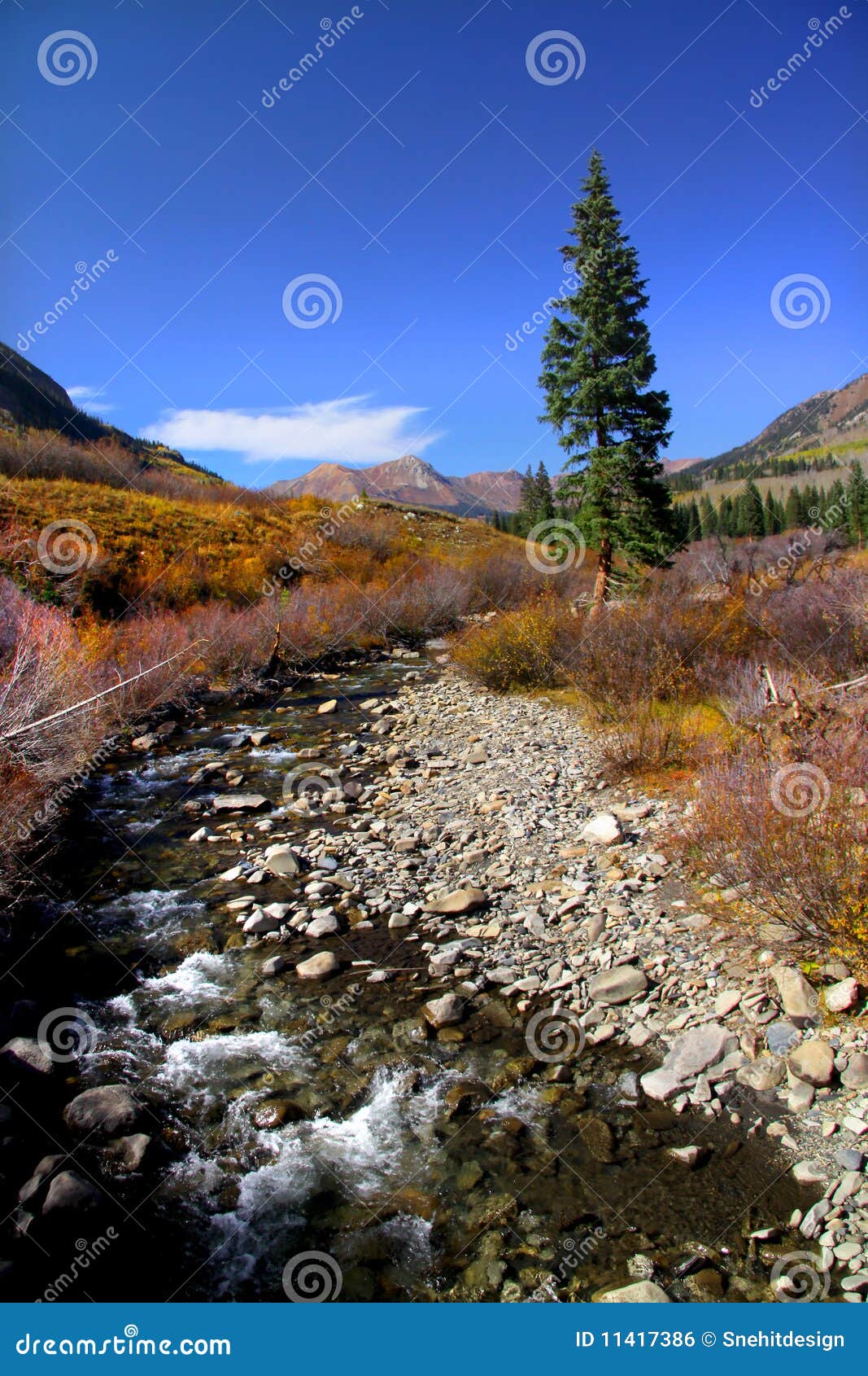 Mountain stream stock photo. Image of rocky, wilderness - 11417386