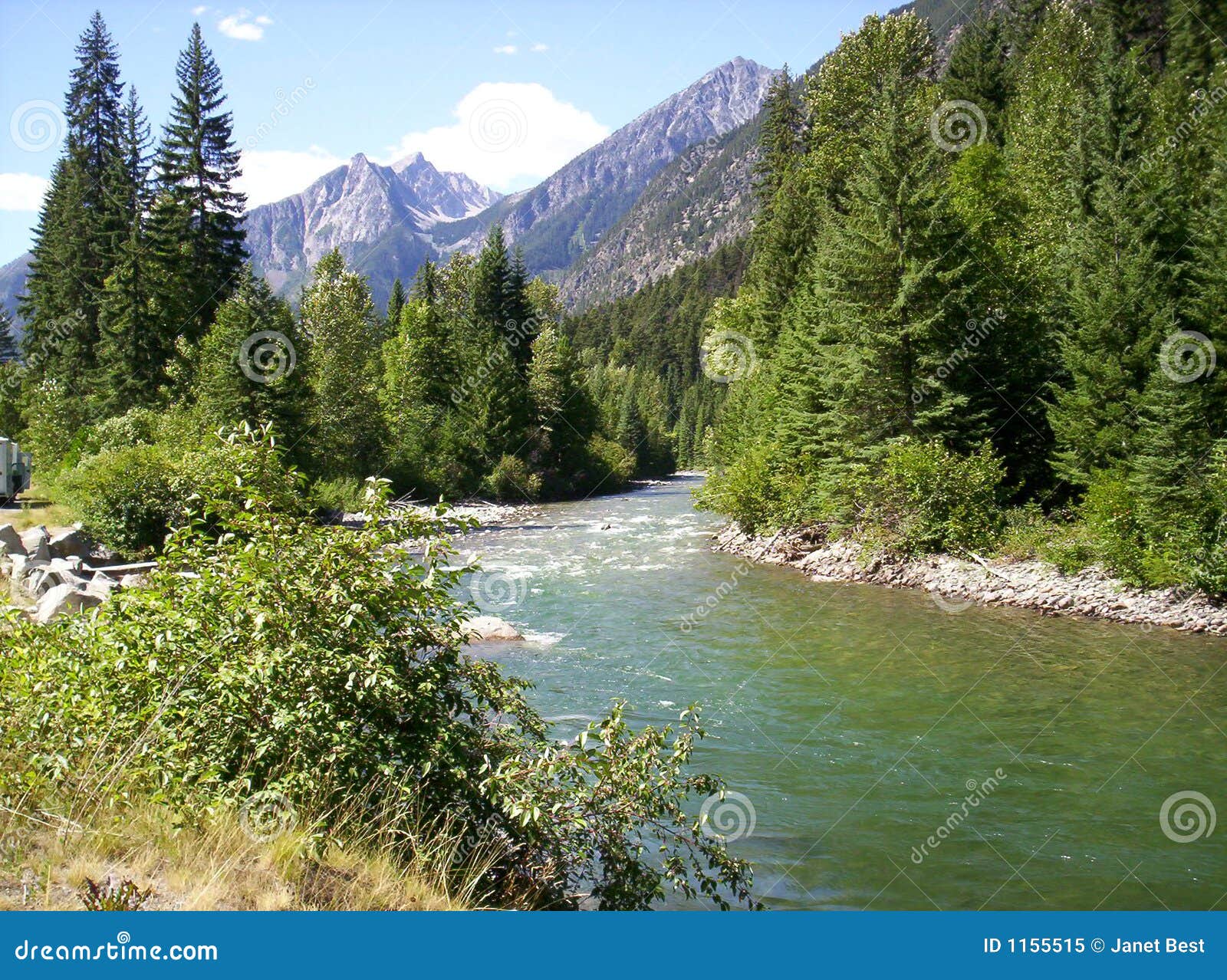 Mountain Stream stock image. Image of trees, forest, greenery - 1155515