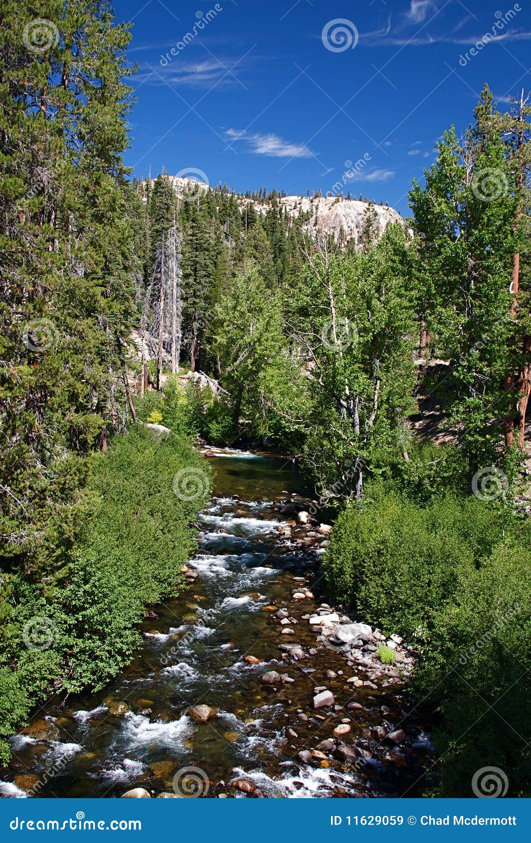 Mountain Stream stock image. Image of outdoors, grass - 11629059
