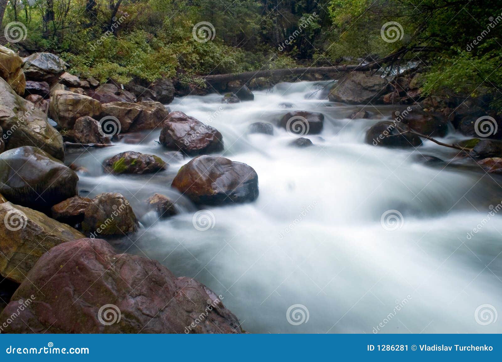 Mountain stream stock image. Image of mountain, wilderness - 1286281