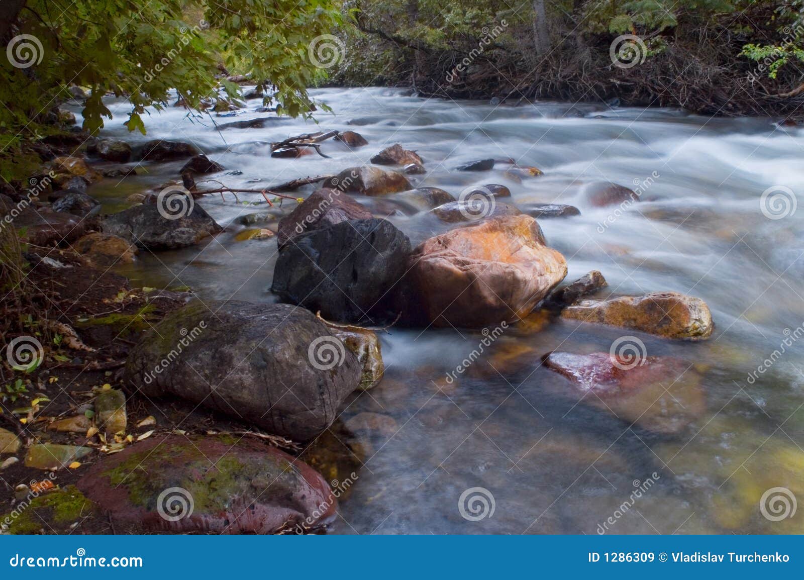 Mountain stream stock image. Image of nature, creek, natural - 1286309