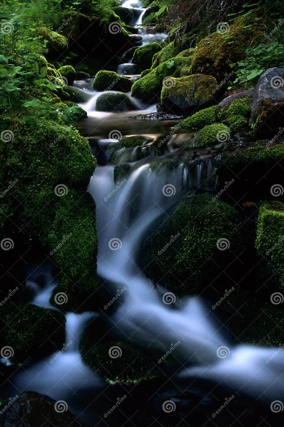 Mountain stream stock image. Image of mountain, river - 13913311