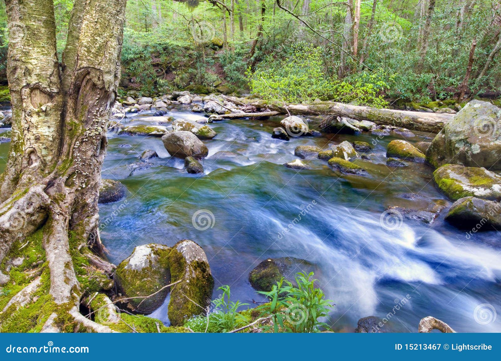 Mountain Stream stock image. Image of moss, background - 15213467
