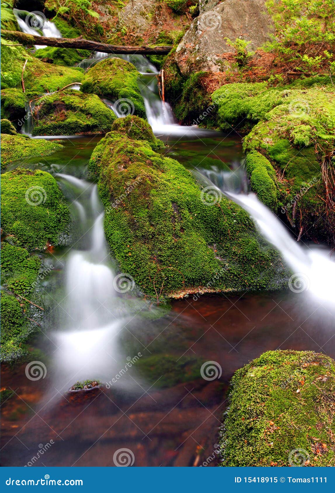 Mountain Stream stock image. Image of river, leaves, formations - 15418915